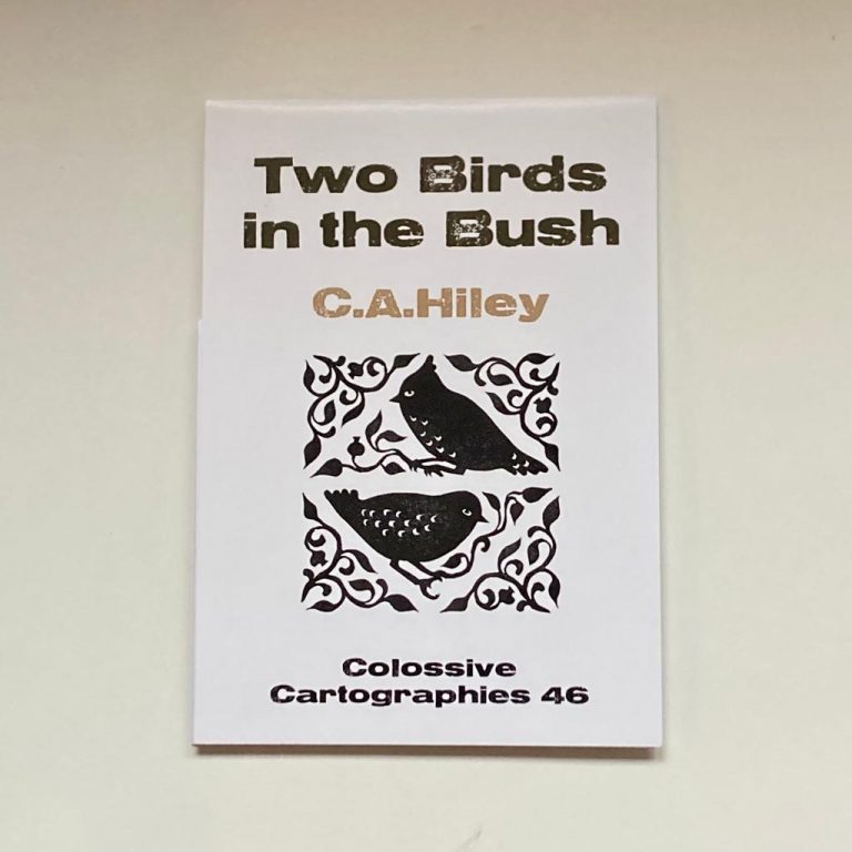 Two Birds in the Bush by C.A.Hiley (Colossive Cartographies 46)