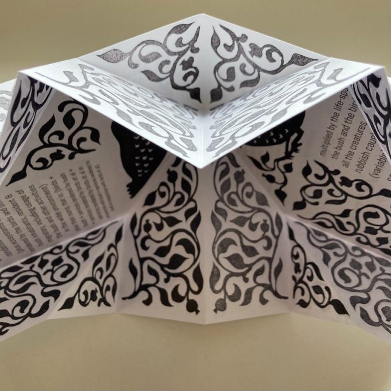 Two Birds in the Bush by C.A.Hiley (Colossive Cartographies 46)